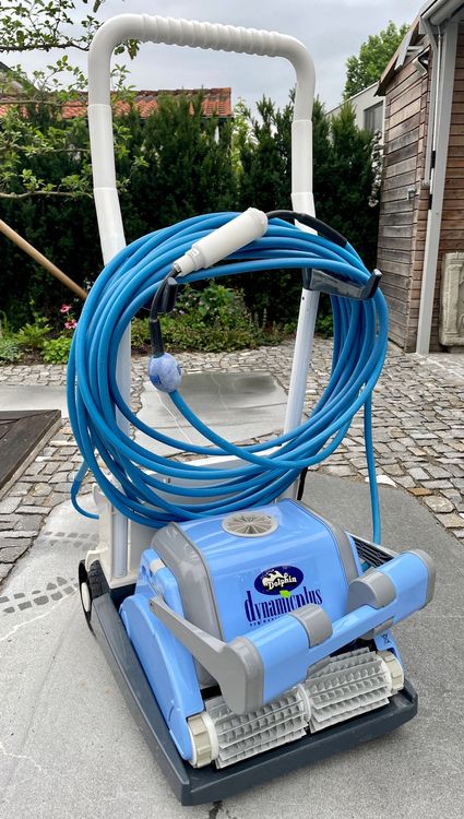 Dolphin Dynamic Plus PVC | Kaufen auf Ricardo