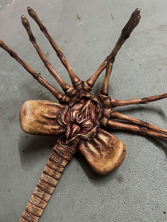 Facehugger Alien, HR Giger, Aliens, Predator Horror (Neu (gemäss ...