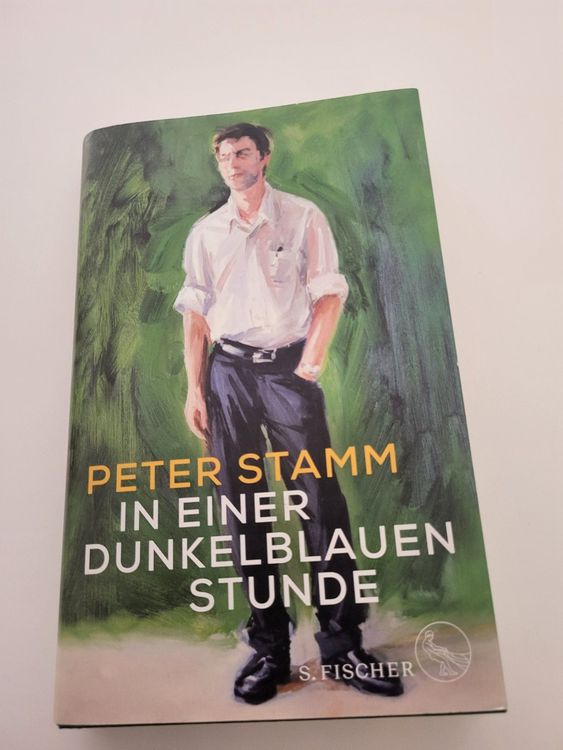 Peter Stamm, in einer dunkelblauen Stunde | Kaufen auf Ricardo