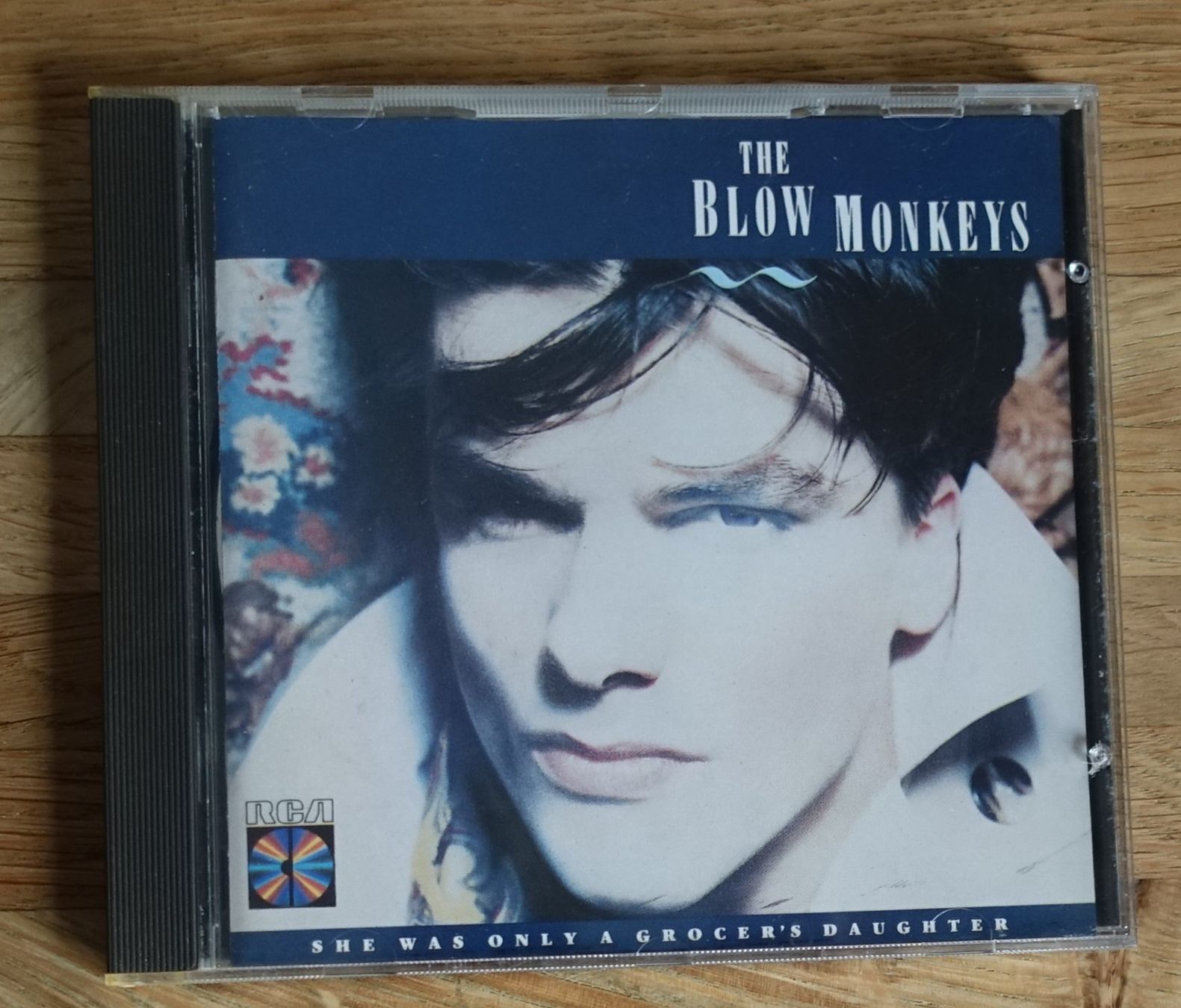 The Blow Monkeys – She Was Only A Grocer's Daughter - F27 (Gebraucht ...