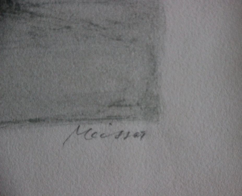 Leonhard Meisser, Seegfrörni 1963, Lithografie (Gebraucht) in ...
