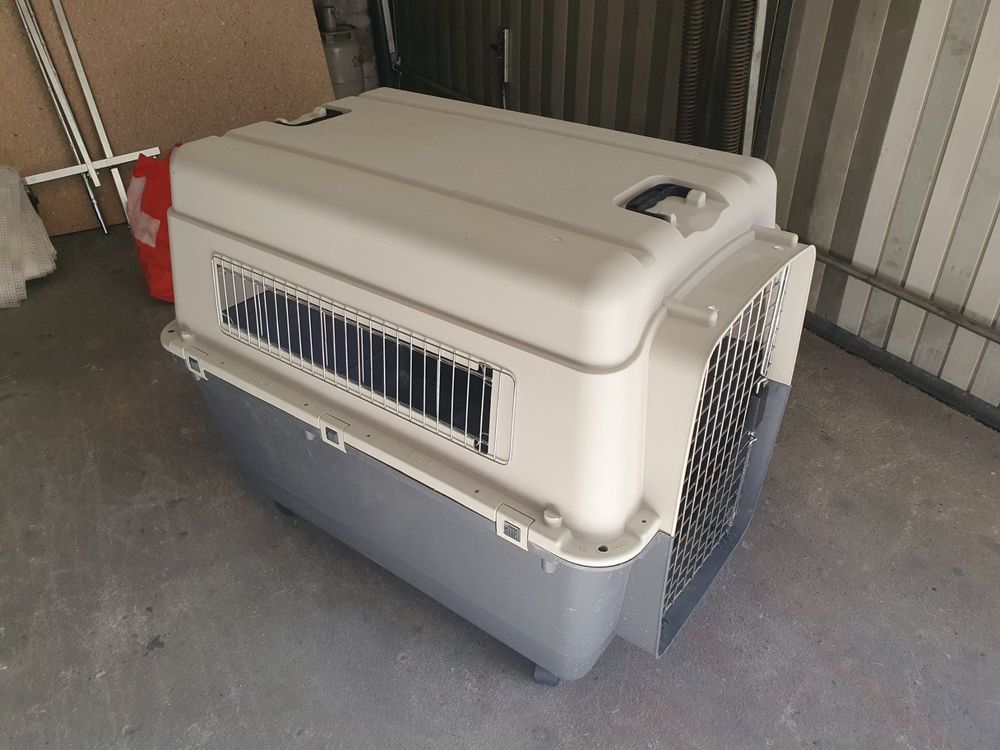 Box pour grand chien (Gebraucht) in für CHF 50 – nur Abholung auf ...
