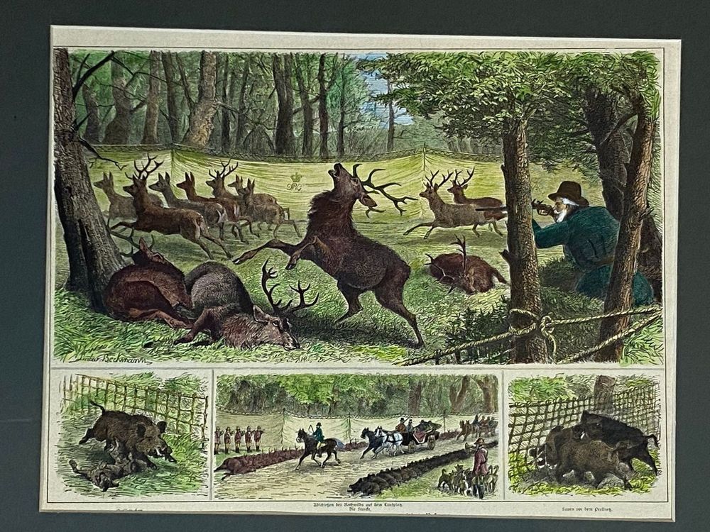 Holzschnitt koloriert Jagd Hirsch 1890 (Gebraucht) in Vaduz für CHF 29 – mit Lieferung auf ...