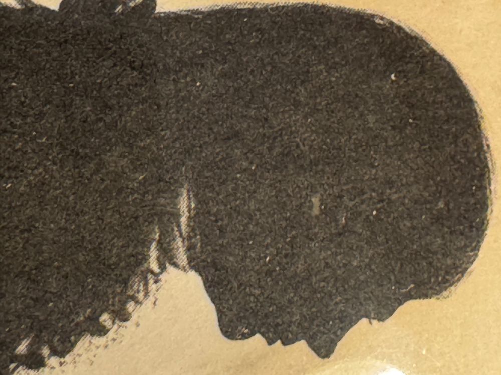 Silhouette Marcelle D. Shears by Peter Bates Miniatures 60er (D ...