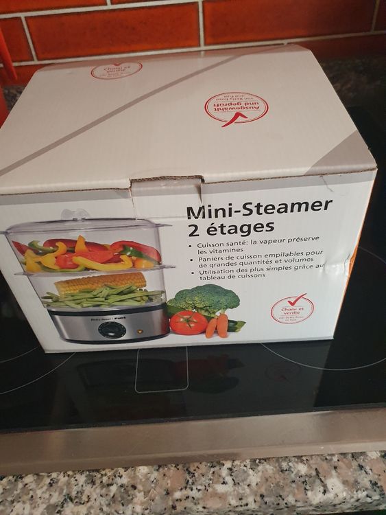 Mini Steamer neu (Neu (gemäss Beschreibung)) in für CHF 18 – mit ...