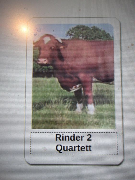Rinder 2 Quartett 32 Karten (Neu und originalverpackt) in Herznach für CHF 30 – mit Lieferung ...