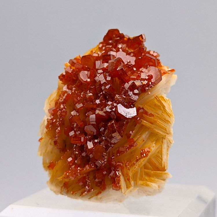 Blutrote VANADINIT-Stürme auf gelber BARIT (Nuovo (secondo la ...