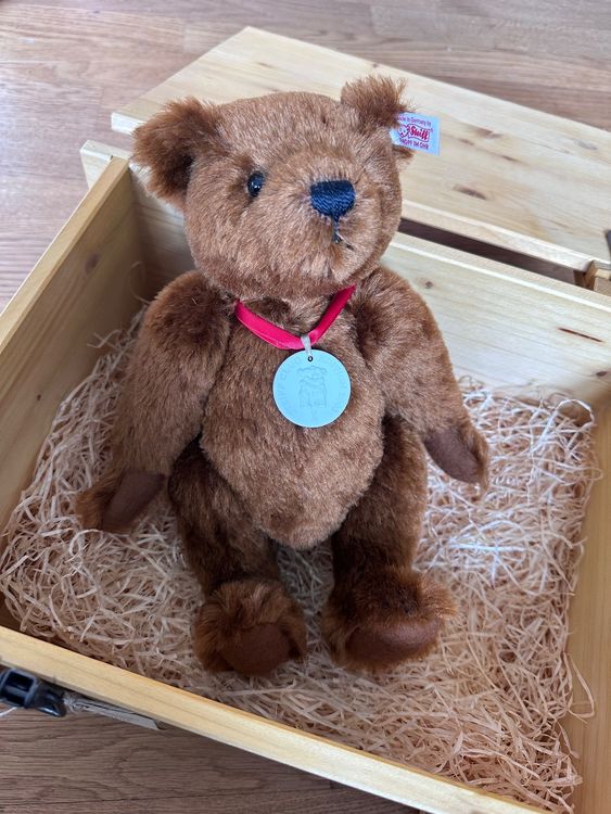 Steiff Bär (Gebraucht) in für CHF 70 – mit Lieferung auf Ricardo kaufen