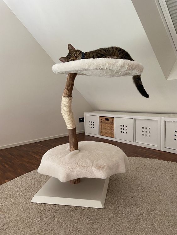 Petrebels Katzenbaum Natural Tree 1 | Kaufen auf Ricardo