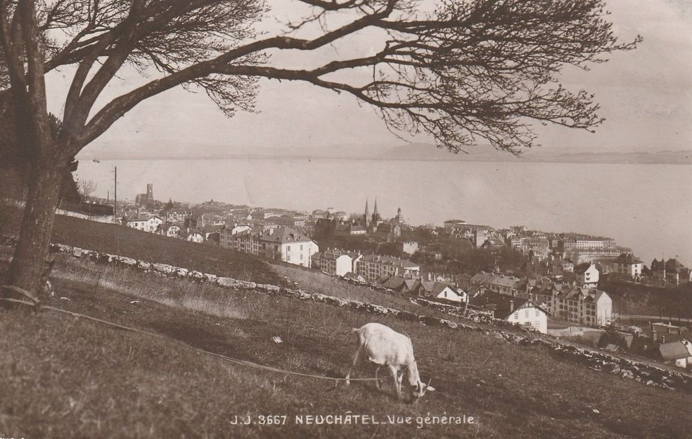 Neuchâtel - vue générale vom Hang aus (Gebraucht) in Turgi für CHF 3 – mit Lieferung auf Ricardo ...