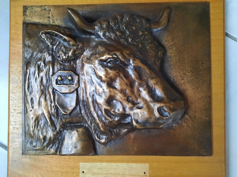 TÊTE DE VACHE, en BRONZE (D'occasion) à Le Locle pour CHF 30 – avec livraison | Acheter sur Ricardo