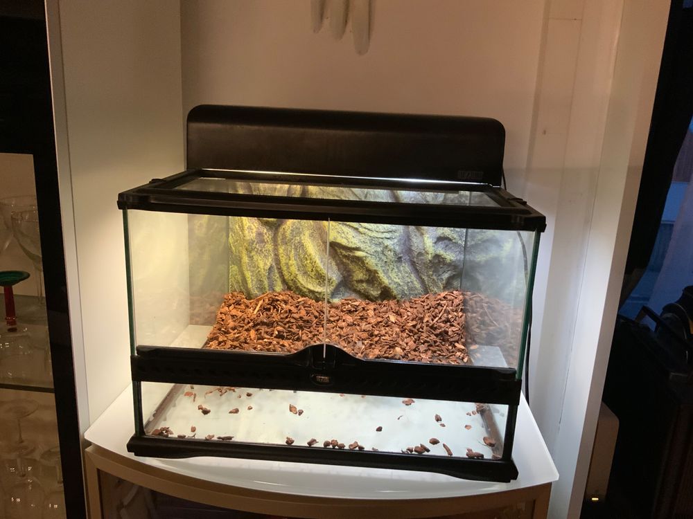 Terrarium EXO Terra mit Lampe (Gebraucht) in Rorschach für CHF 61 – mit ...