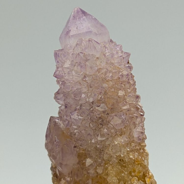 AMETHYST KAKTUS, 100+ Kristalle VIOLETT, Elegant (Neu (gemäss Beschreibung)) in Balerna für CHF ...