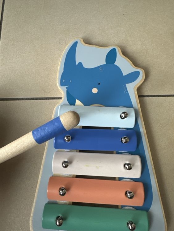 Musikinstrumente Set: Xylophon, Rassel & Tamburin🎵🐊🦏🎶 (Gebraucht) in ...