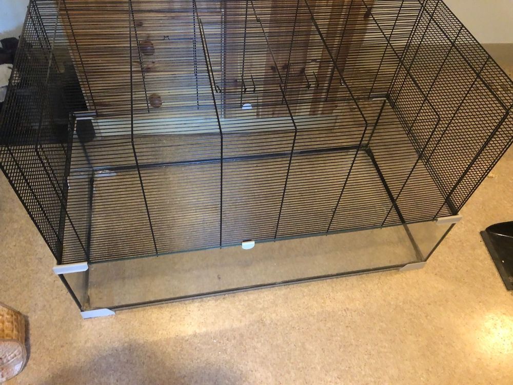 Mäusekäfig ohne Inhalt (Gebraucht) in Eschen für CHF 44.9 – nur ...