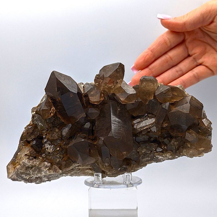 RAUCHQUARZ ALPIN, MONT BLANC, Großer Cluster (Nuovo (secondo la descrizione)) a Balerna per CHF ...