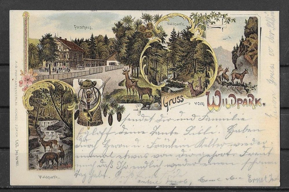 ZH Gruss vom Wildpark Langenberg bei Zürich 1901 (Litho) (Gebraucht) in Schocherswil für CHF 12 ...