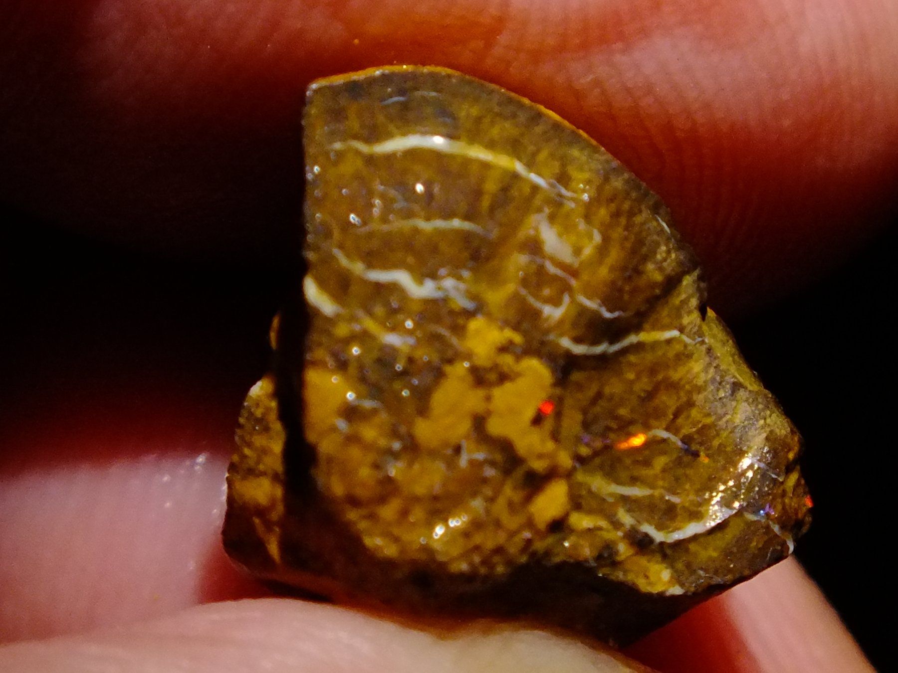 BOULDER ROH OPAL 105 karat Lot TOP QUALITAT Voll Feuer (Neu und ...