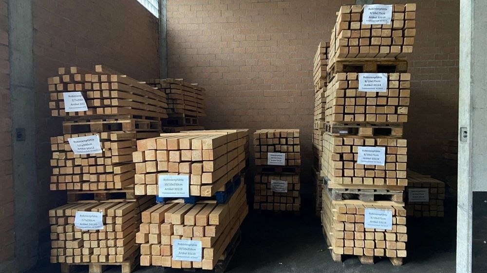 Akazienpfähle vierkant 10x10x225cm natur, säge roh, gespitzt (Neu und ...