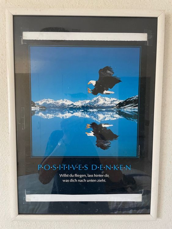 Adler Bild mit Rahmen - "Positives Denken" (Gebraucht) in Schaffhausen ...