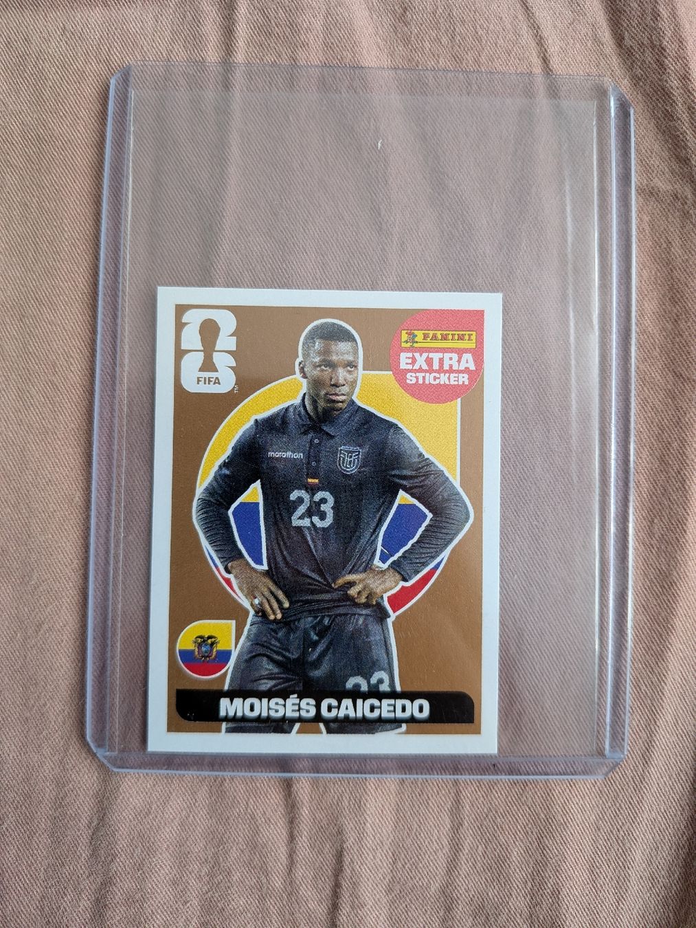 Panini WM 2026 Extra Sticker BRONZE Moises Caicedo (Neu (gemäss ...