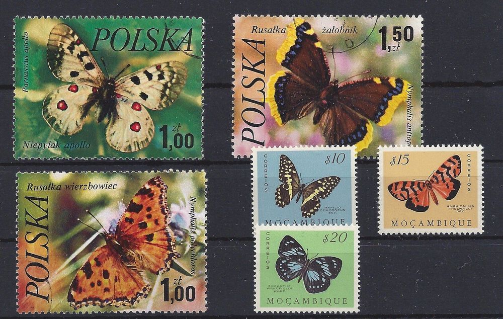 Schmetterlinge S39 (D'occasion) à Olten pour CHF 1 – avec livraison | Acheter sur Ricardo