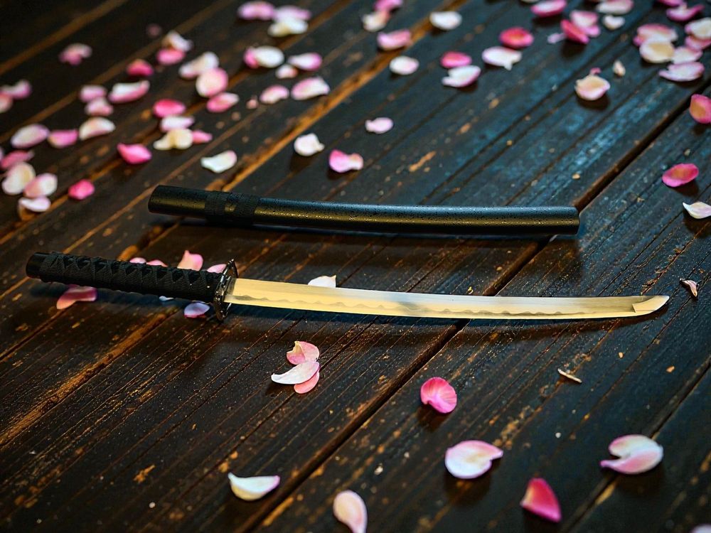 Katana Schwert mit Scheide 78cm SCHWARZ L NEU (Neu und originalverpackt ...