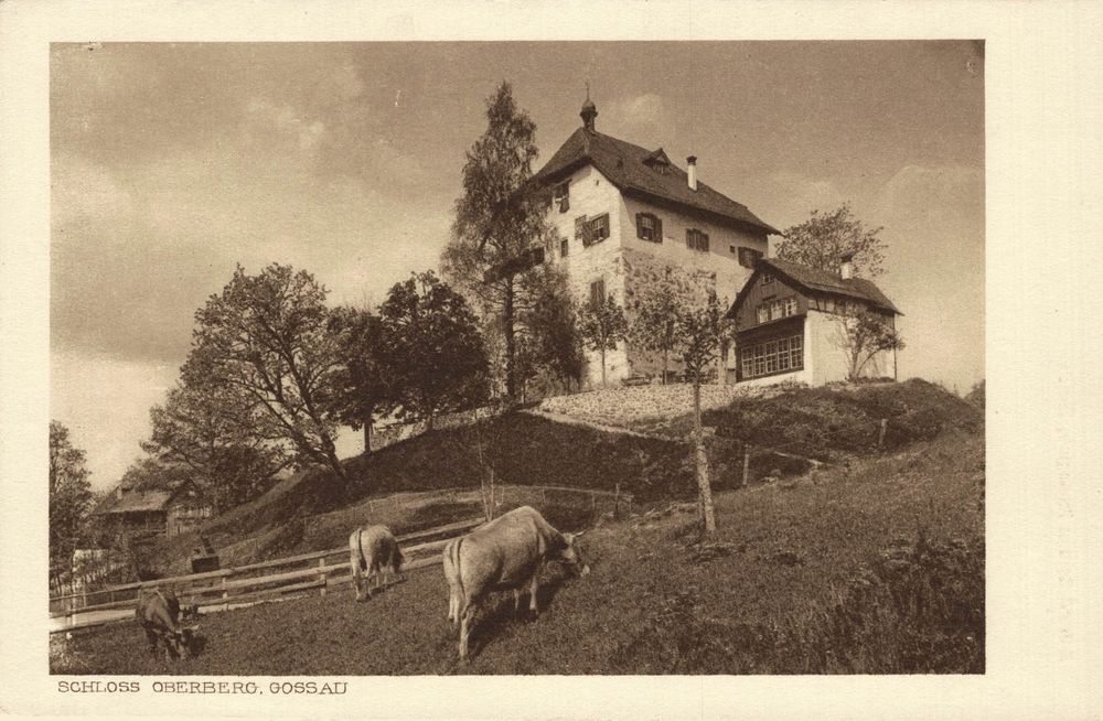 Schloss Oberberg Gossau, weidende Kühe | Kaufen auf Ricardo