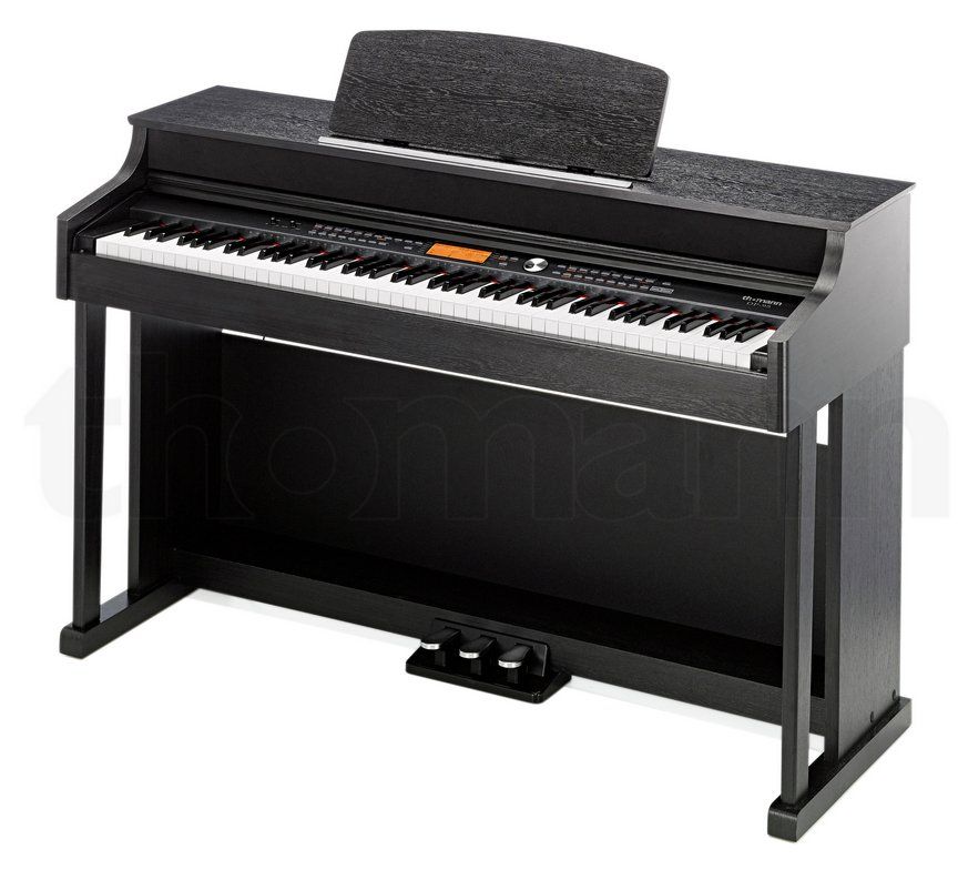 Digital Piano mit Begleitautomatik (Neu (gemäss Beschreibung)) in ...