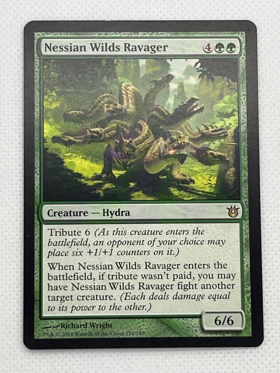 Nessian Wilds Ravager Kaufen Auf Ricardo