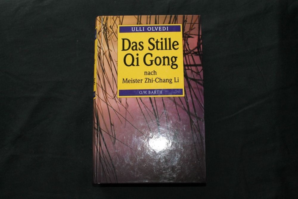 Das Stille Qi Gong Meister Zhi- Chang Li | Kaufen auf Ricardo