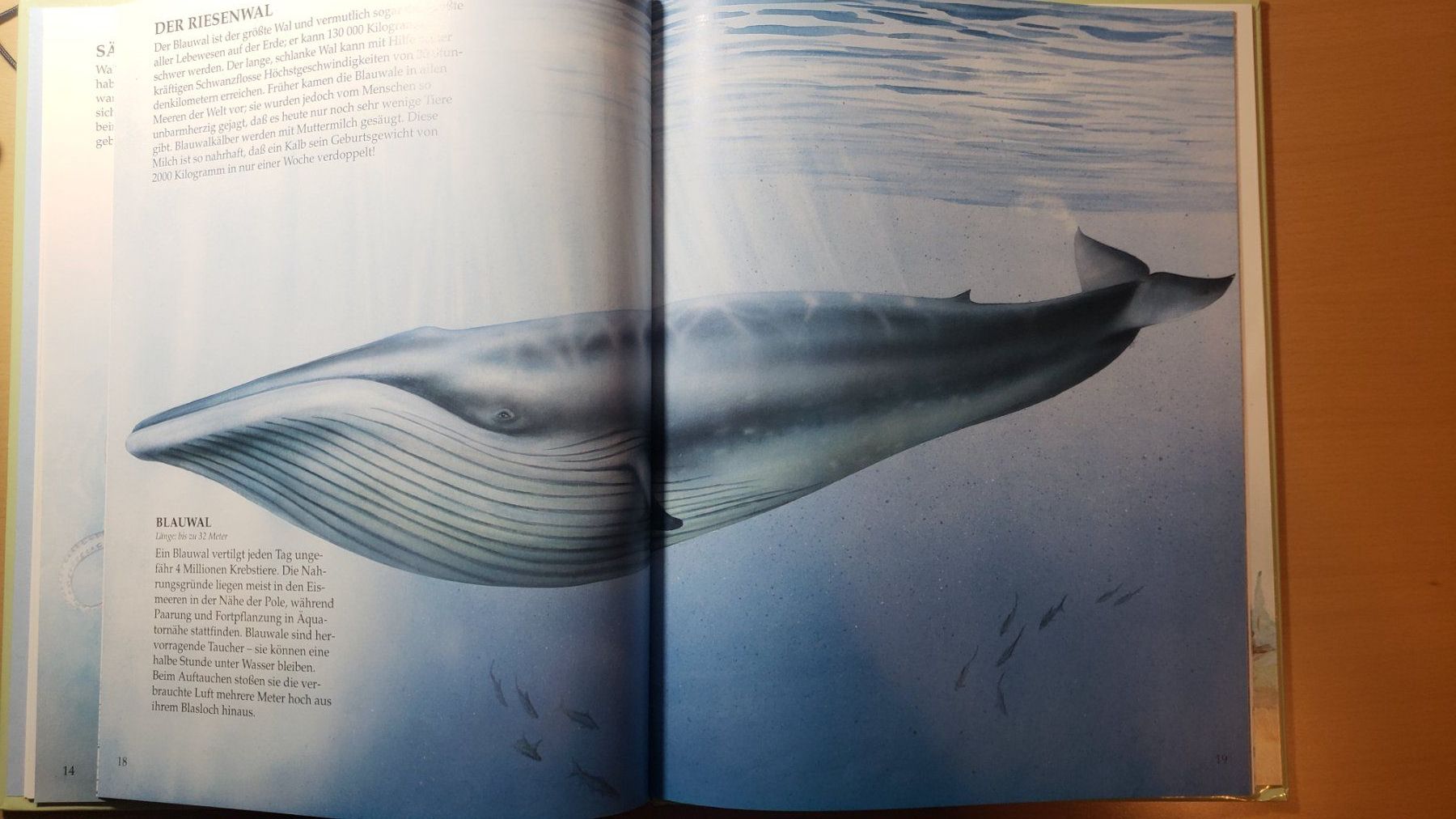 Die Welt der Haie und Wale und anderer Meeresbewohner (Gebraucht) in ...