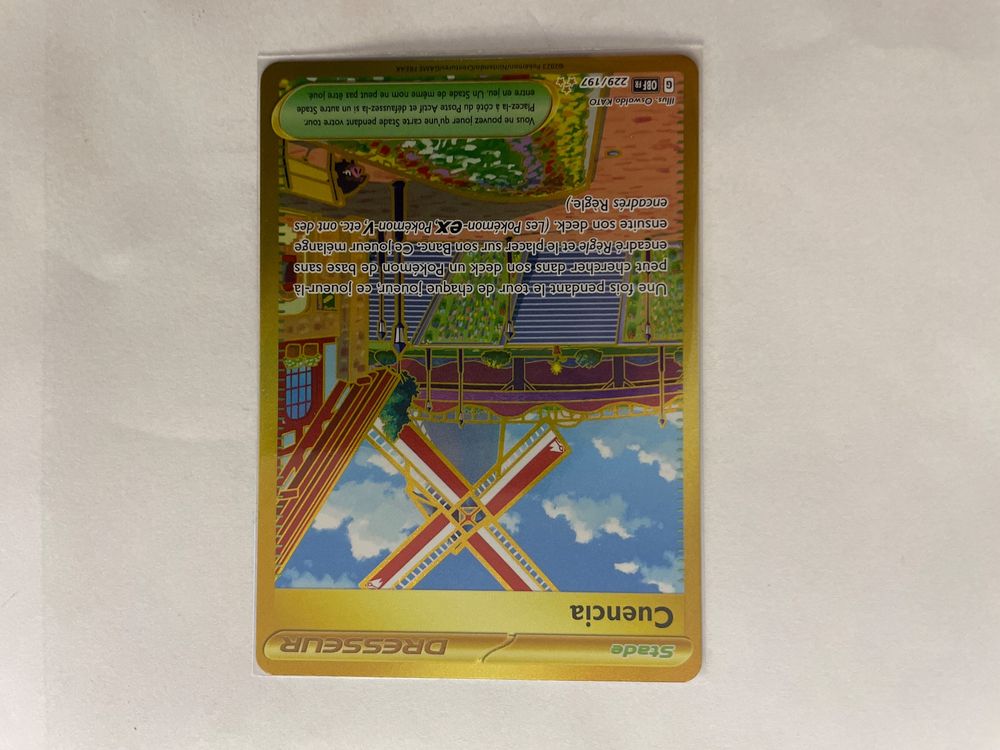 Obf fR Pokémon 229 | Kaufen auf Ricardo