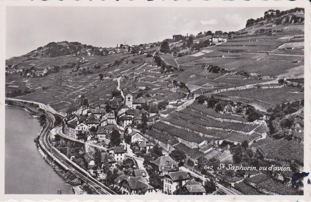 VD St. Saphorin | Kaufen auf Ricardo