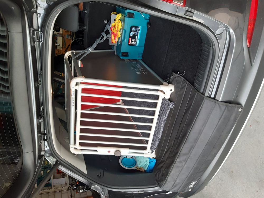 Hundebox 4pets Pro 3 Pro 3 M (Gebraucht) in Schöftland für CHF 130 ...