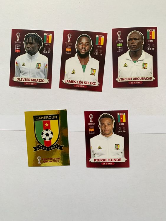 Panini WM 2022 Sticker CMR | Kaufen auf Ricardo