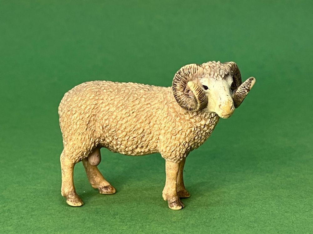 Schleich Widder 13726 Schaf Schafbock | Kaufen auf Ricardo