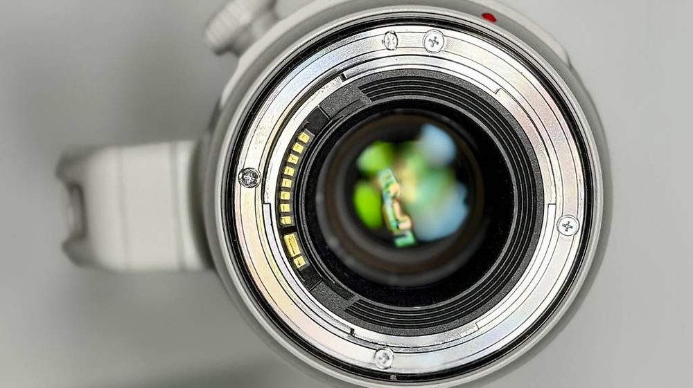 Canon EF 100-400mm f/4.5-5.6 L IS II USM (Gebraucht) in Sarmenstorf für ...