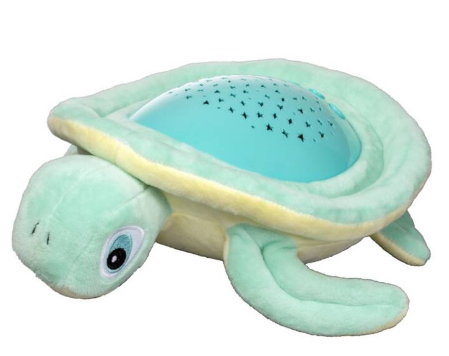 Schildkrote Als Nachtlicht