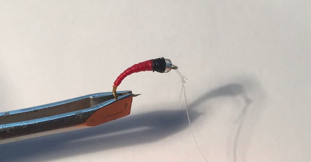 Felchen Hegene / Gambe, Rot Schwarz (Neu (gemäss Beschreibung)) in ...