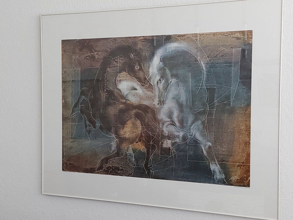 Hans Erni "Zwei Pferde 1971" (Gebraucht) in Lenzburg für CHF 2 – nur Abholung auf Ricardo kaufen