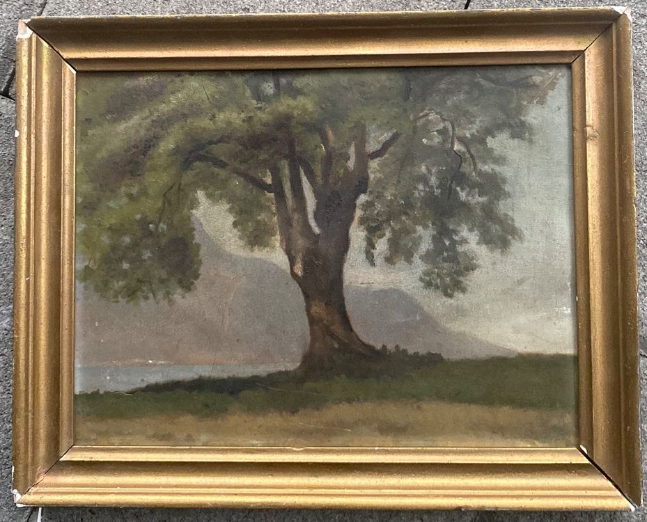 Antike See Anblick Gemälde Verso Beschriftet (Gebraucht) in Root für CHF 19 – mit Lieferung auf ...