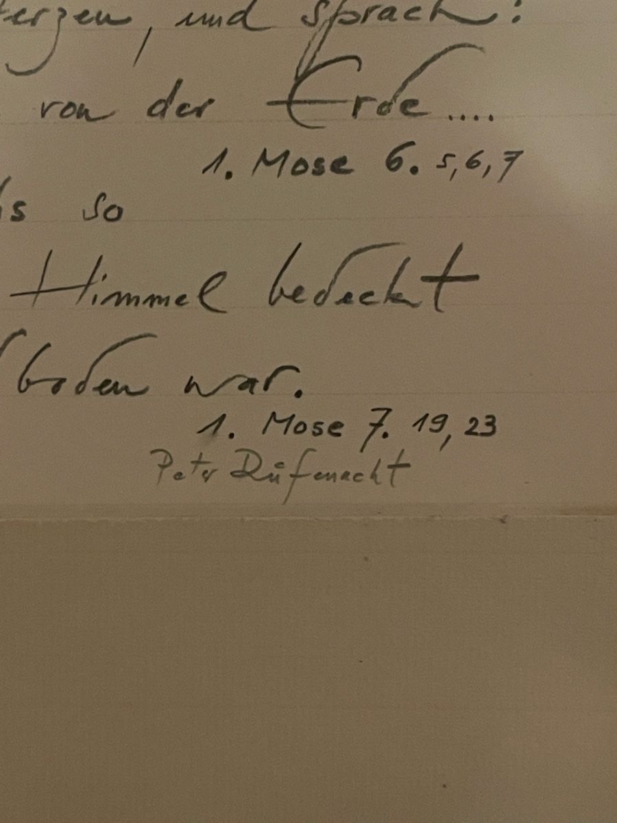 Bild von Peter Rüfenacht (Beneidest Du Noah?) (Gebraucht) in Niederwil ...