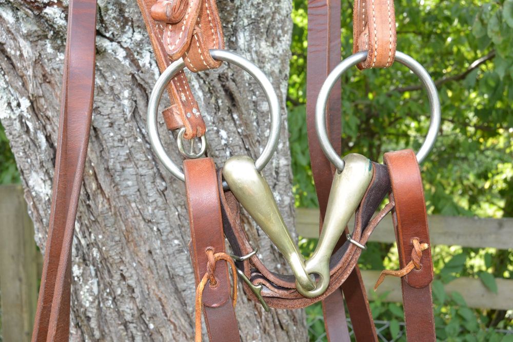PFERDE ZUBEHÖR WESTERN ZAUMZEUG MIT TRENSE+ZÜGEL | Kaufen auf Ricardo