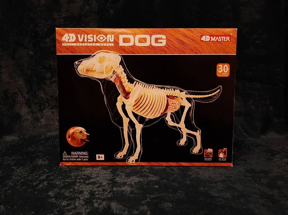 modèle anatomique de chien (4D Dog) | Kaufen auf Ricardo