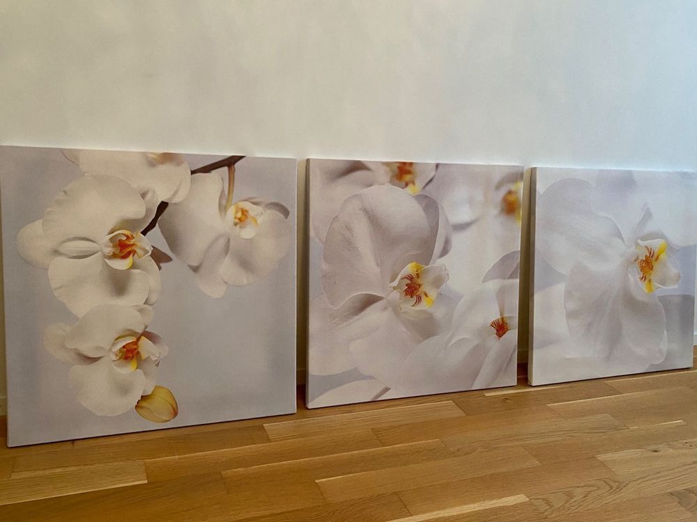 Luxus Orchideen Bertpfe Ikea Bilder