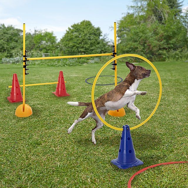Agility Hundeparcours Ausstattung 14tlg. (Neu (gemäss Beschreibung)) in ...