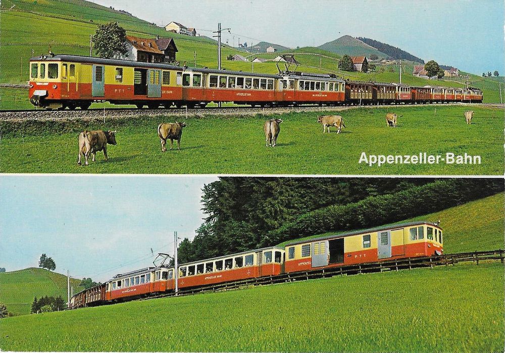 Appenzeller Bahn (Neu (gemäss Beschreibung)) in Rothrist für CHF 1.5 ...