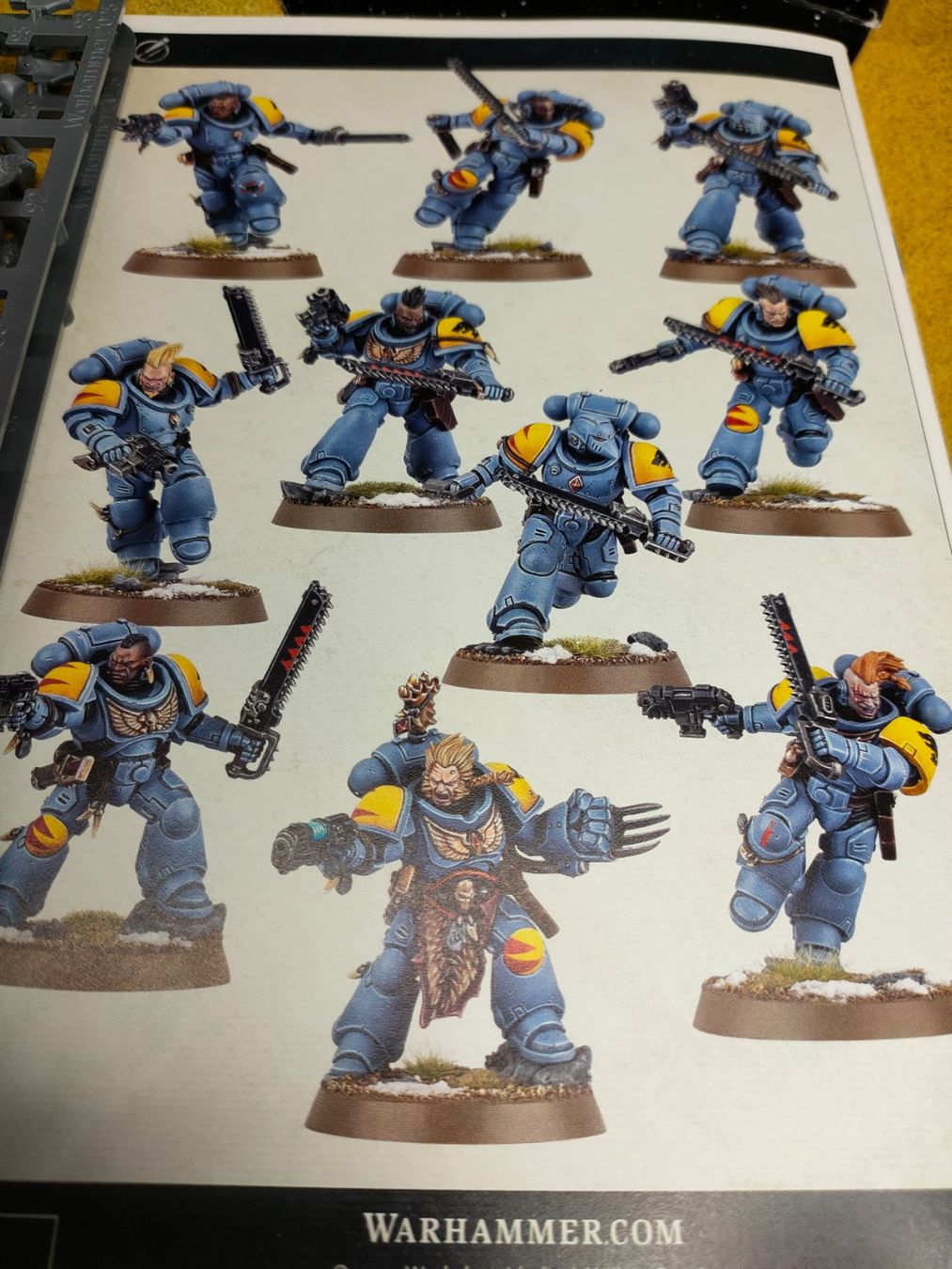 Blutwölfe, Blood Claws des Space Wulfes, Warhammer 40k (Neu (gemäss ...