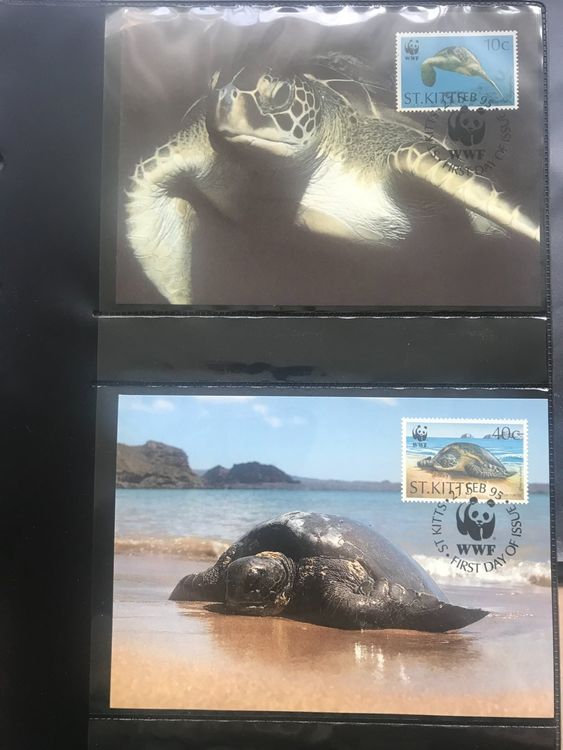 St.Kitts 1995 Satz WWF Suppenschildkröte Maximumkarten (Neu (gemäss Beschreibung)) in Liestal ...